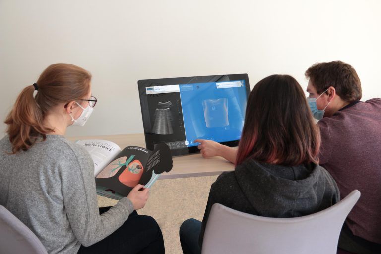 diSplay U/S - Online ultrasound simulator by InSimo