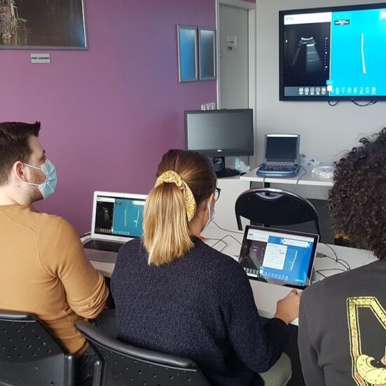 Hands-on ultrasound training, online