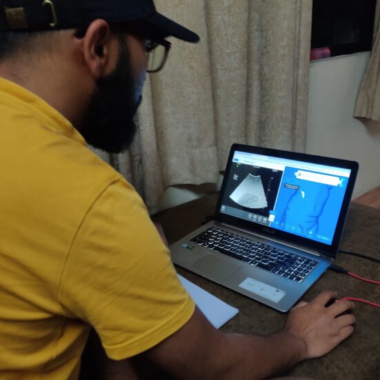 Hands-on ultrasound training, online